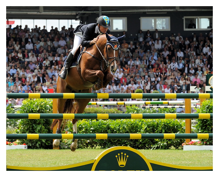 CHIO Aachen - Springen *17 Foto & Bild | sport, sport mit tieren ...