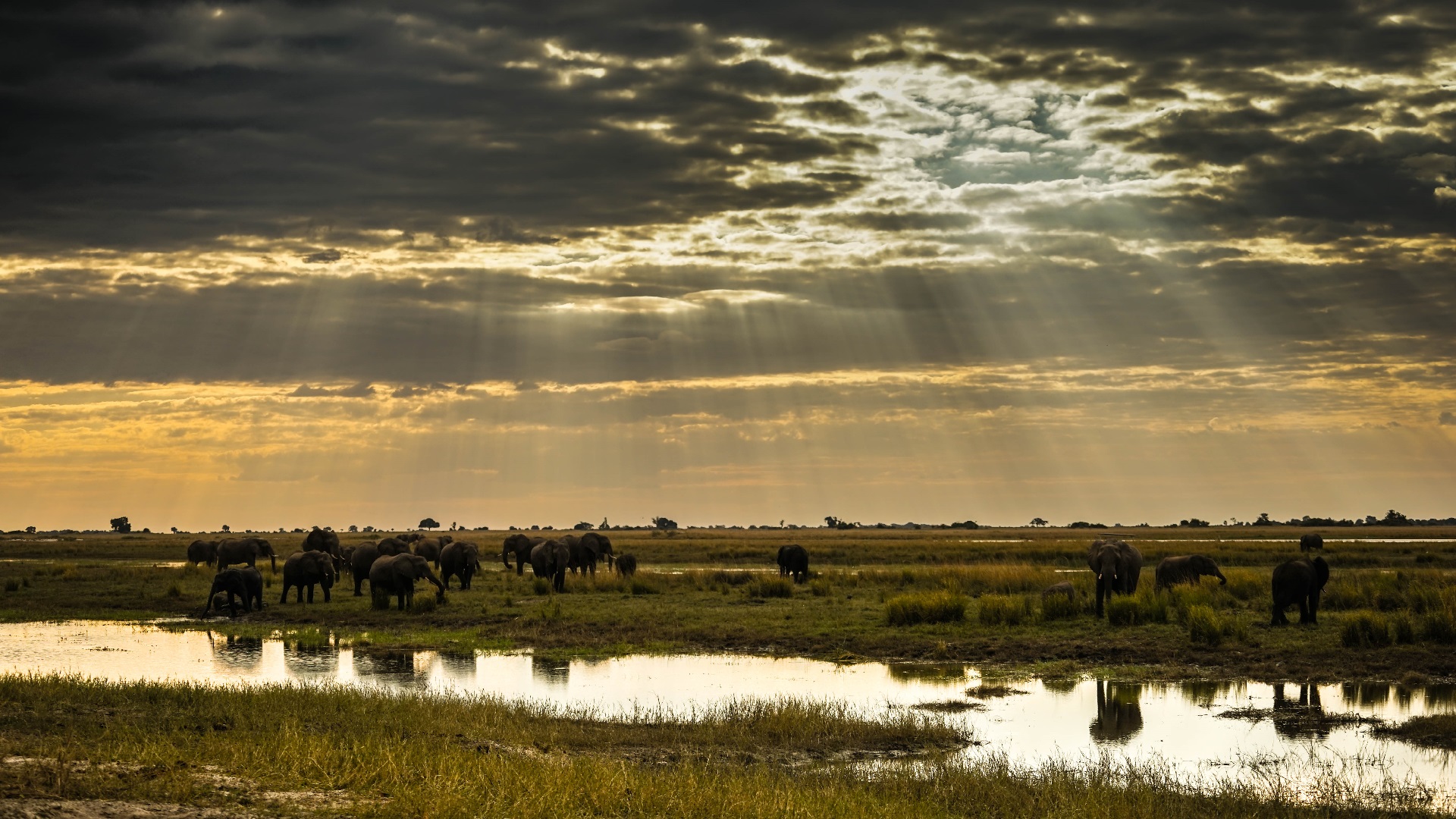 Chobe Foto & Bild | tiere, wildlife, natur Bilder auf fotocommunity