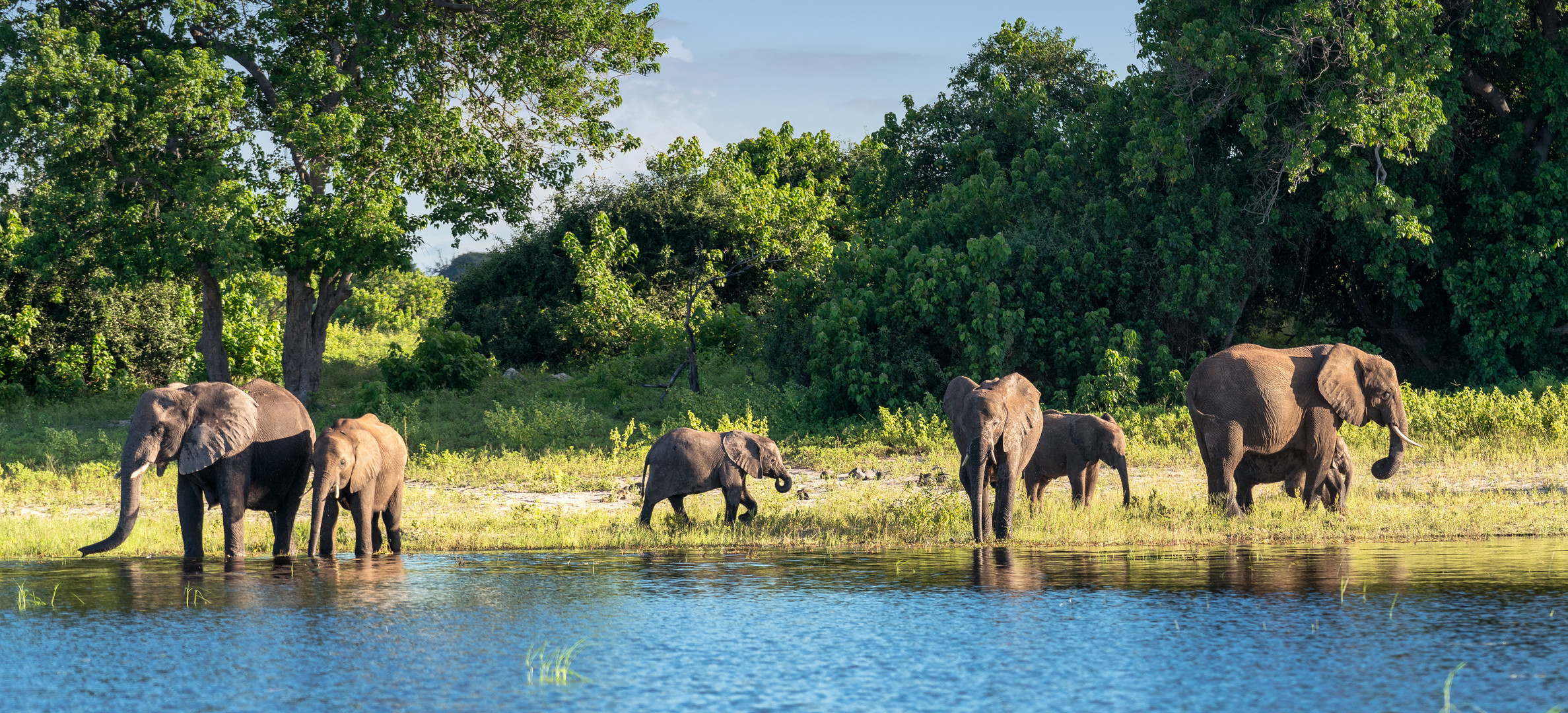 Chobe River Foto & Bild | outdoor, wasser, natur Bilder auf fotocommunity