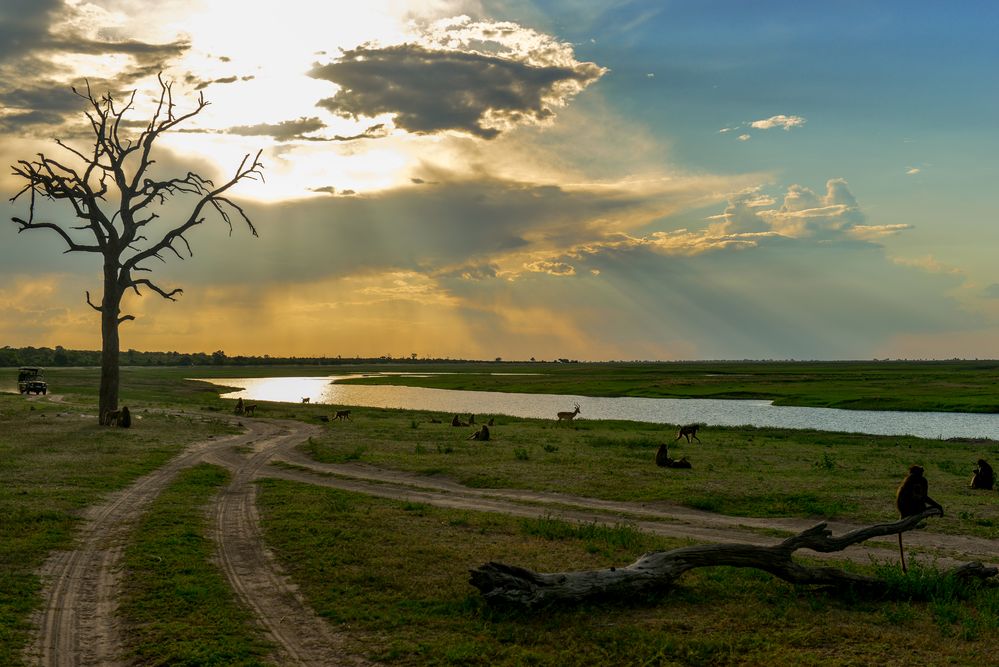 Chobe-River Foto & Bild | africa, southern africa, botswana Bilder auf ...