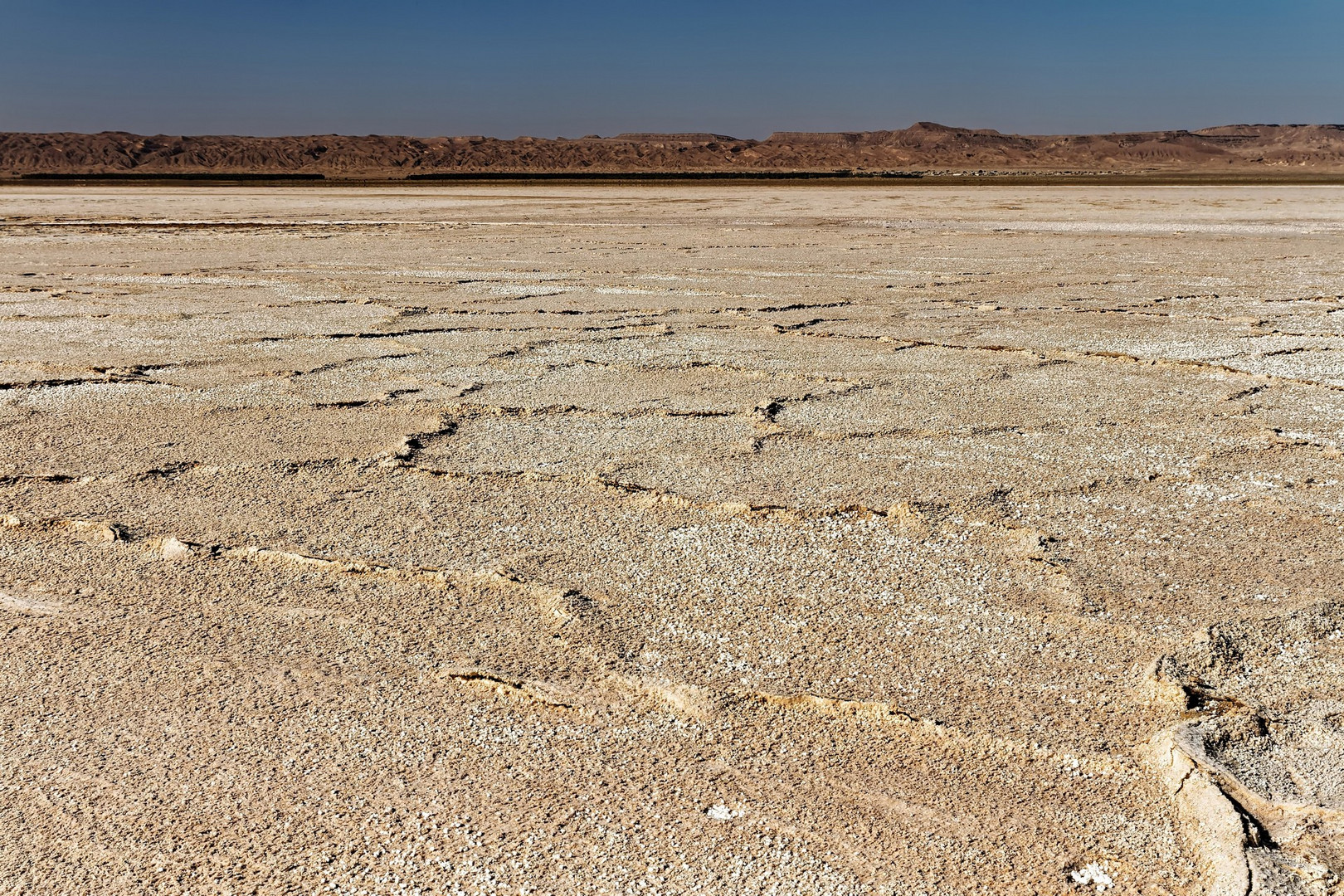 Chott el Djerid Foto & Bild | world, natur, landschaft Bilder auf ...