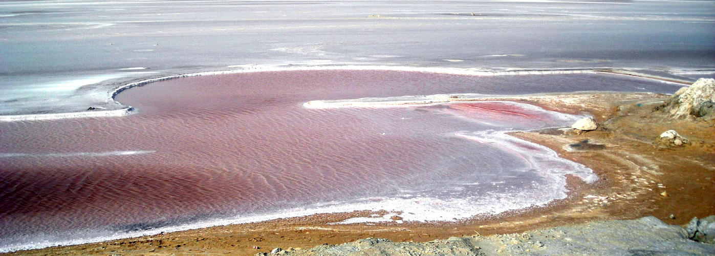 Chott EL DJERID. photo et image | africa, north africa, tunisia Images ...