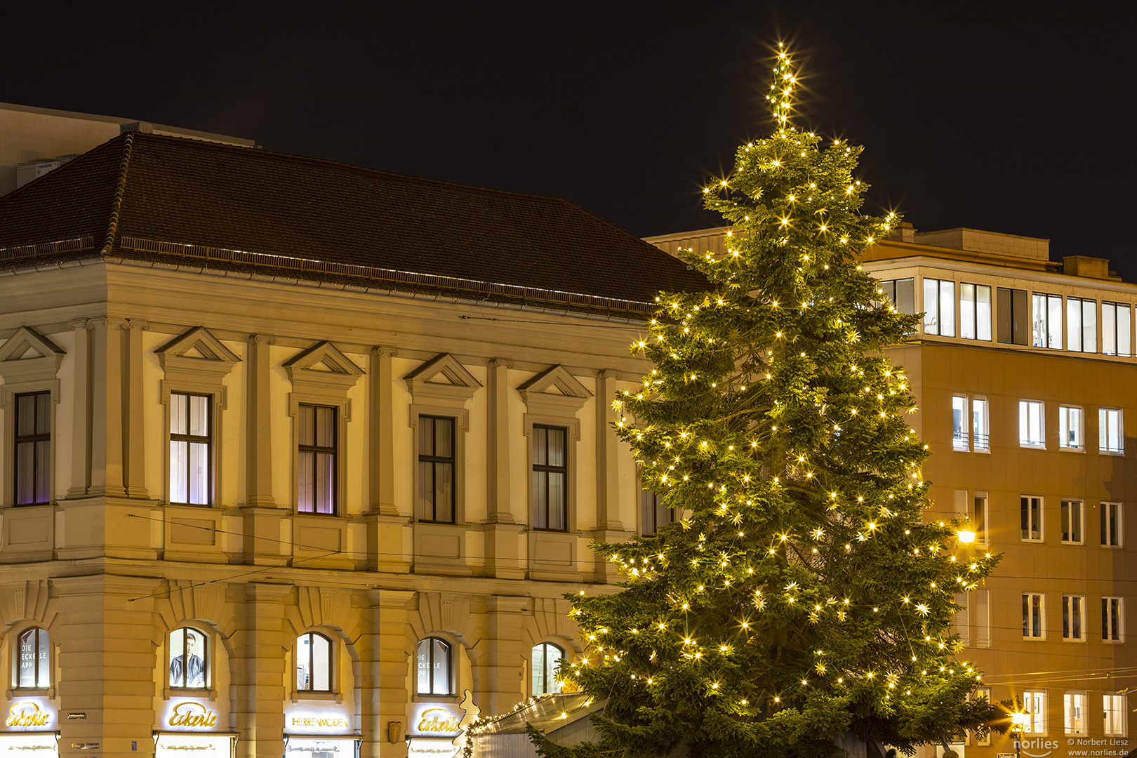 Christbaum am Rathausplatz Foto & Bild | architektur, deutschland ...