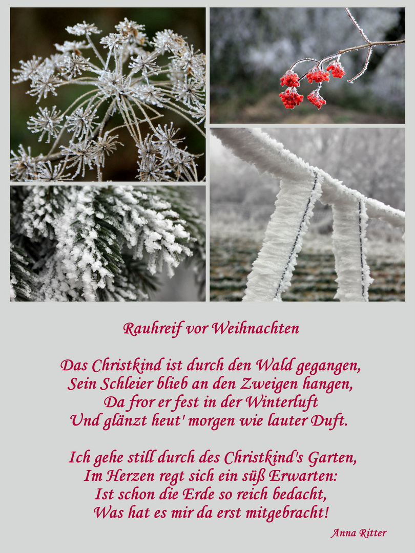 Christkind im Wald Foto & Bild | karten und kalender, weihnachtskarten ...