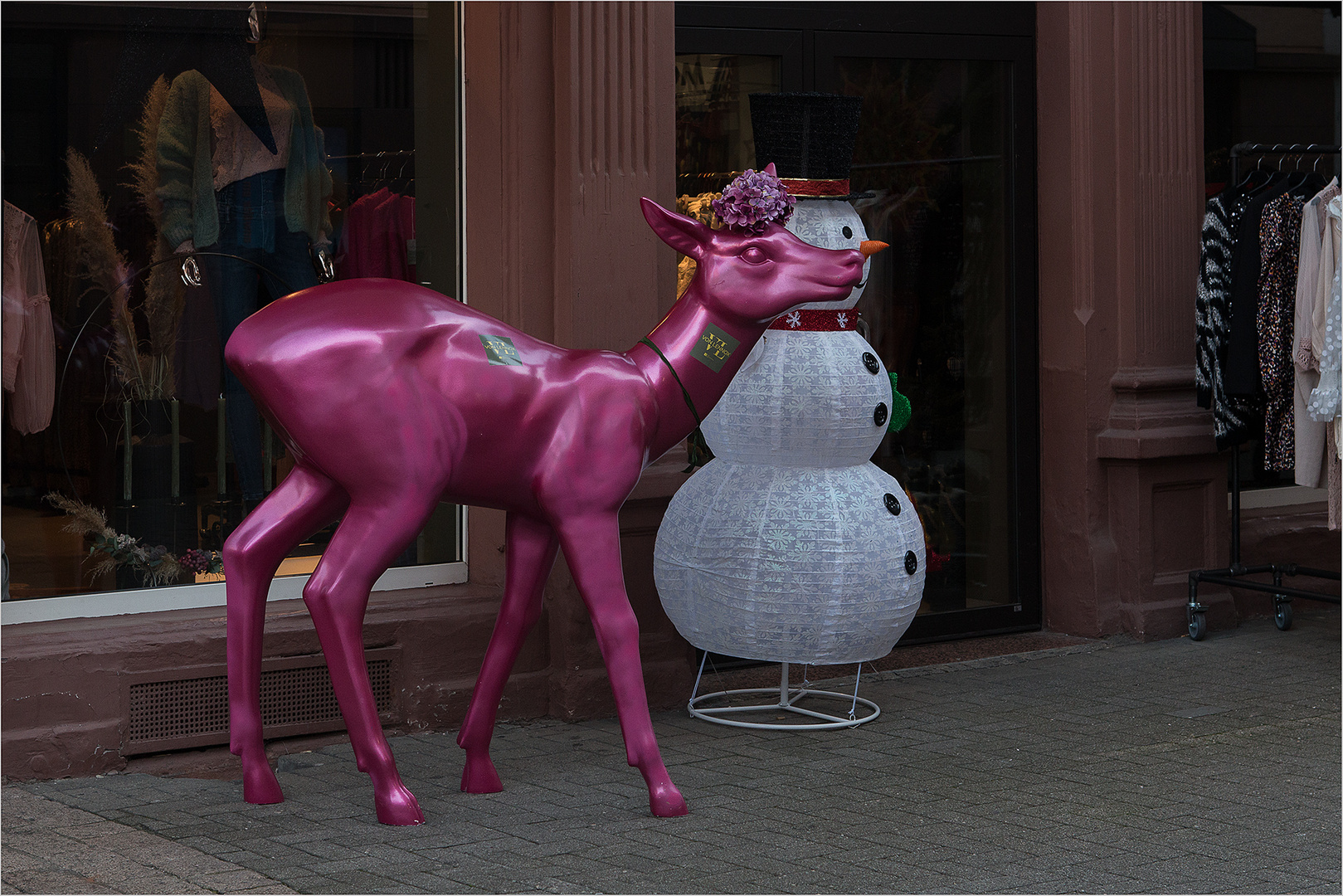 Christopher Street Reh Foto & Bild | street, pink, fashion Bilder auf ...