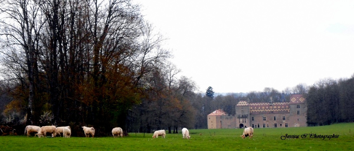Château de Marigny-le-Cahouët photo et image | paysages, ceci cela ...