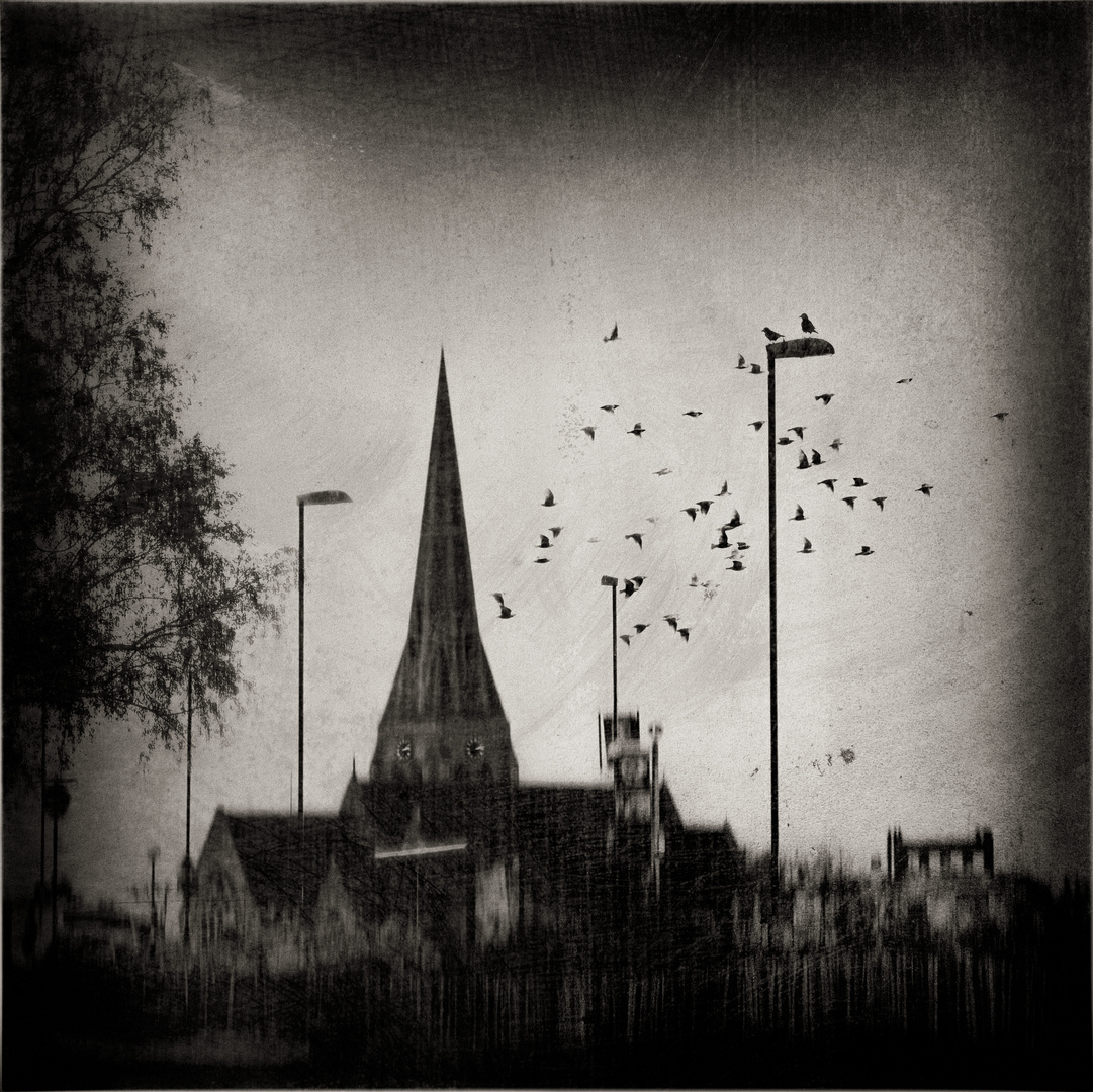 [ CHURCH BIRDS ] Foto & Bild | spezial, kirche, sw Bilder auf fotocommunity