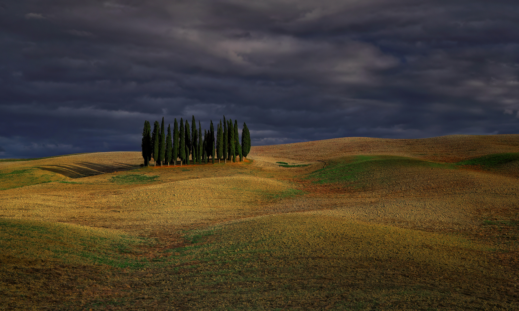 +Cipressi Forest+ Foto & Bild | europe, italy, vatican city, s marino ...