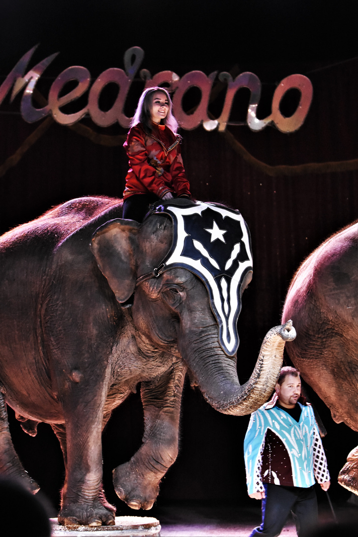 Cirque Medrano photo et image | france, special, scènes Images ...