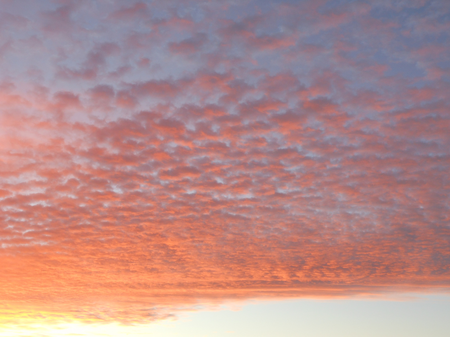 Cirri colorati Foto % Immagini| paesaggi, nuvole, natura Foto su ...