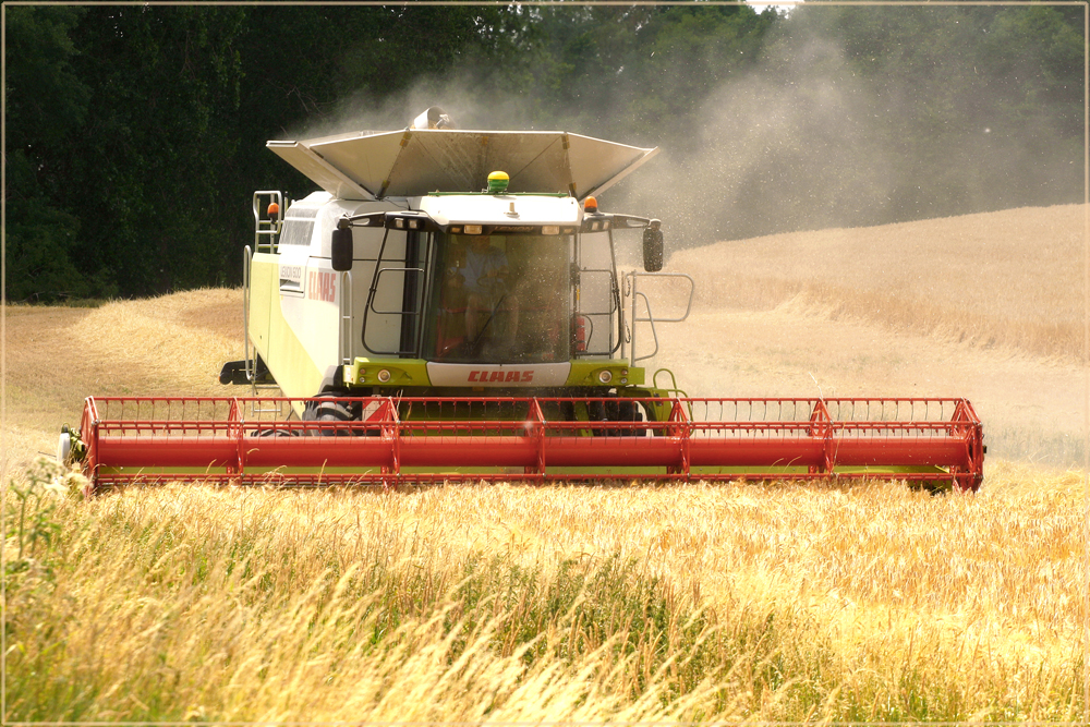 Claas Lexion 600 Foto & Bild | industrie und technik ...