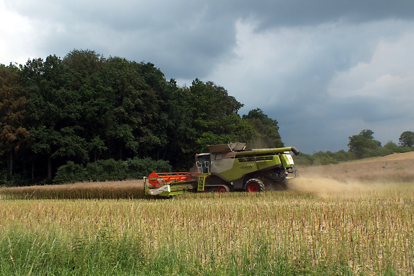 CLAAS LEXION 770 Foto & Bild | landwirtschaft, ernte, verkehr Bilder ...