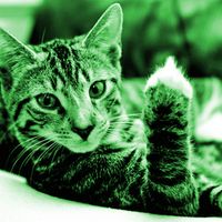 Claude T.G. Goergen - Fotos & Bilder - Fotograf | fotocommunity