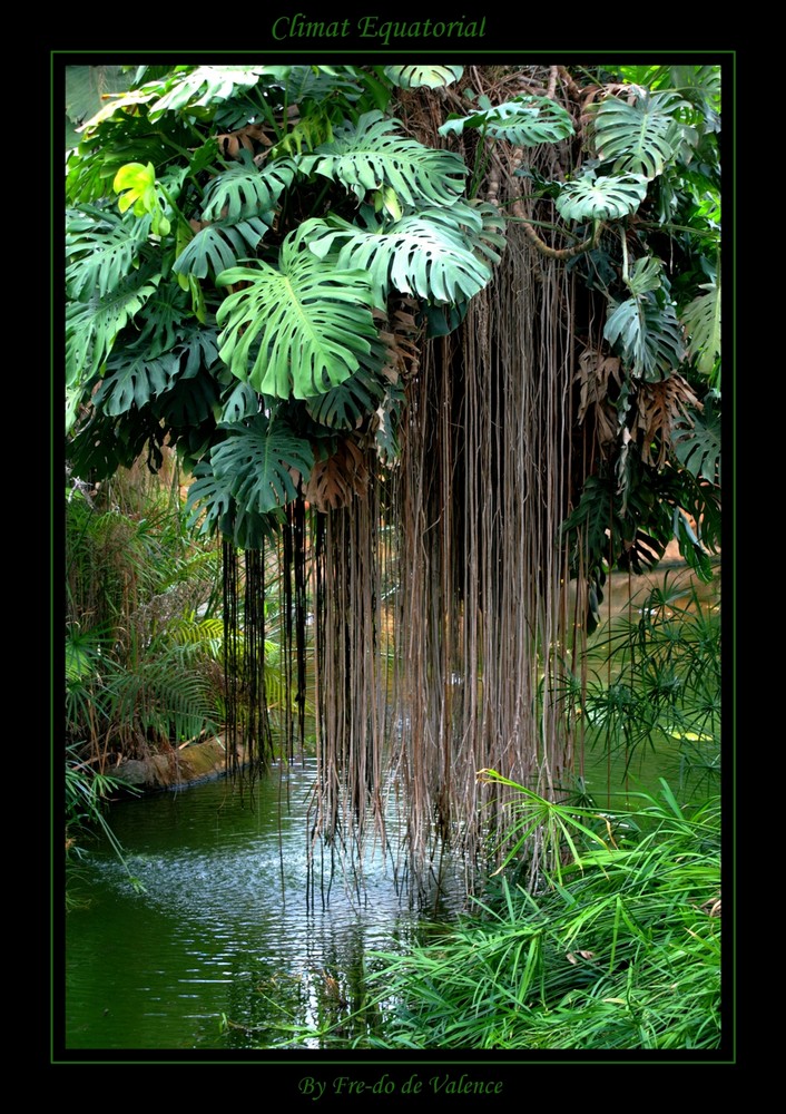 Climat Equatorial photo et image | divers, la nature simplement ...