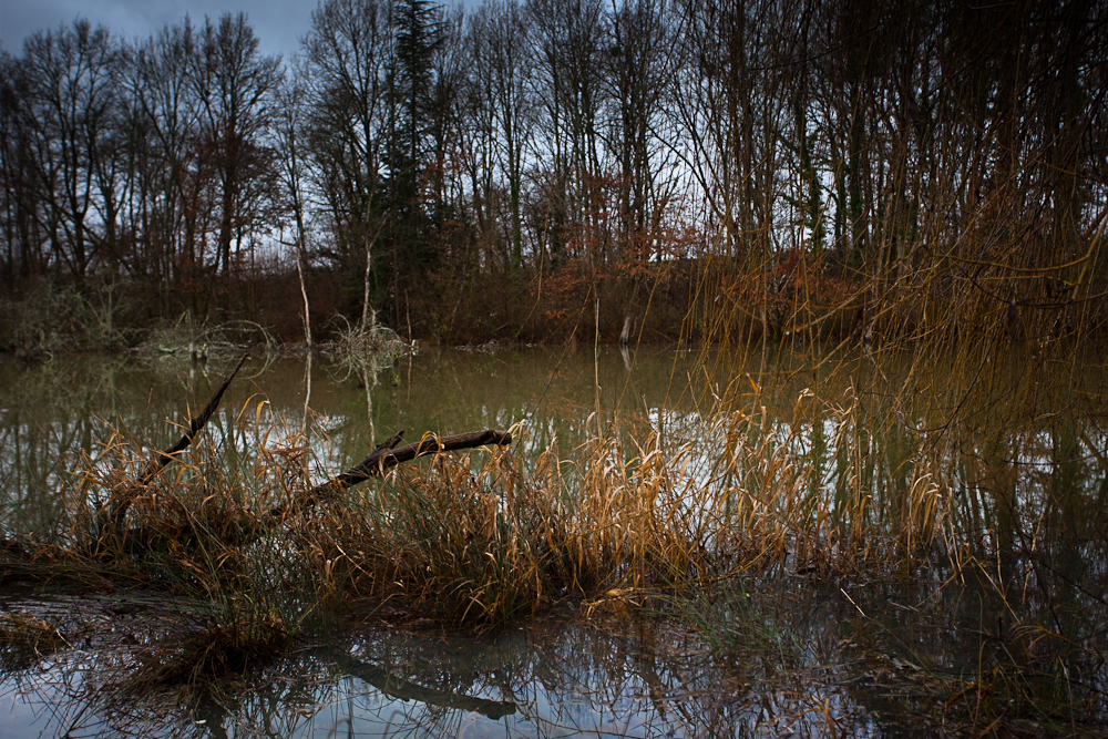 Cloaque photo et image | paysages, lacs, rivières, cascades, nature ...