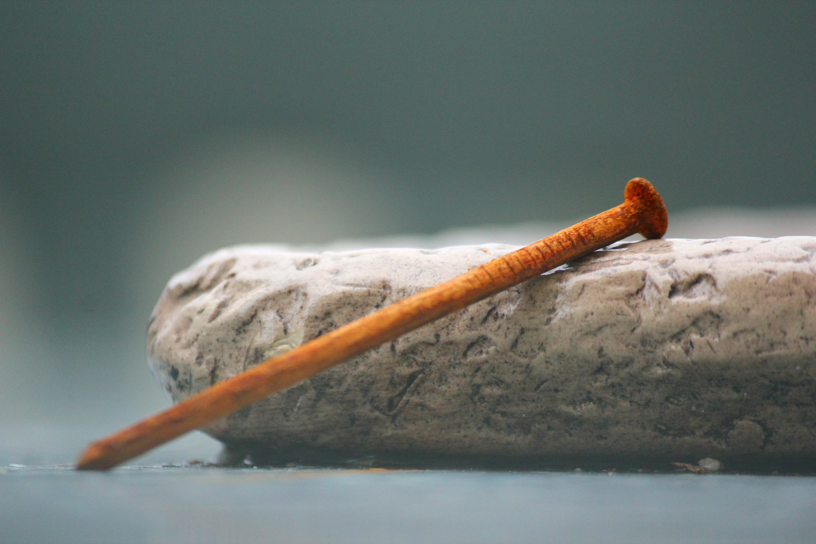 Clous Rouillé photo et image | visions artistiques, sujets Images ...