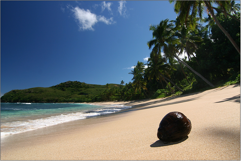 Coconut Beach Foto & Bild | australia & oceania, oceania, world Bilder ...