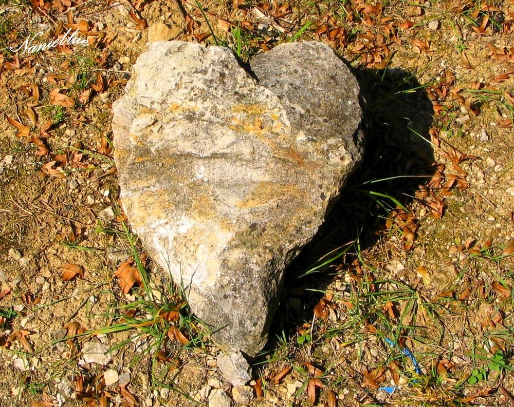 COEUR DE PIERRE....... photo et image | nature abstraite, coeur de ...