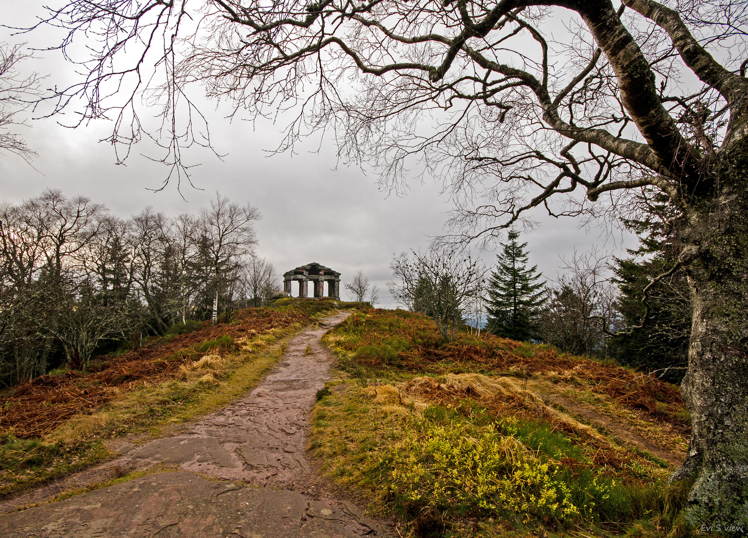 Col du Donon II Foto & Bild | landschaft, wege und pfade, elsaß Bilder ...