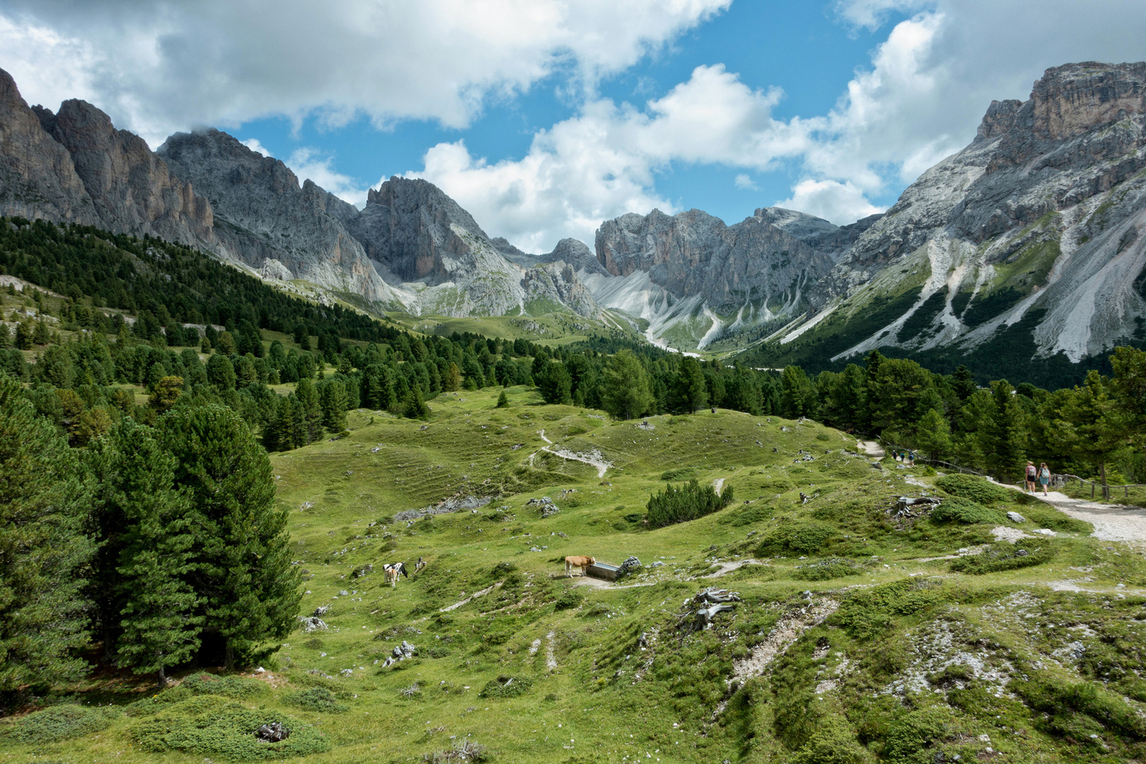Col Raiser - Bergalm Foto & Bild | italy, world, landschaften Bilder ...