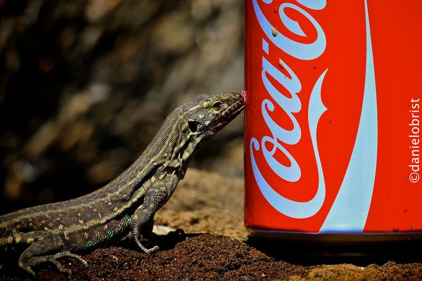 Daniel Obrist - Fotos & Bilder - Fotograf aus Preisenberg, Deutschland ...