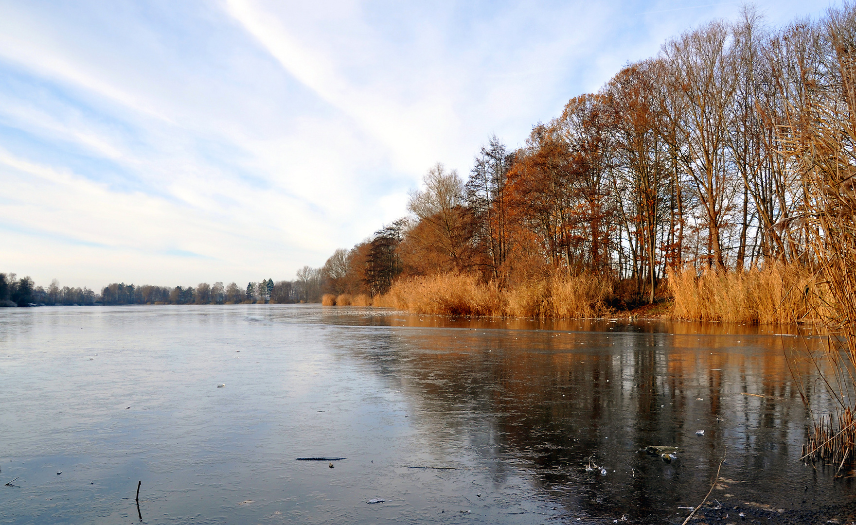 Cold as Ice Foto & Bild | bäume, winter, eis Bilder auf fotocommunity