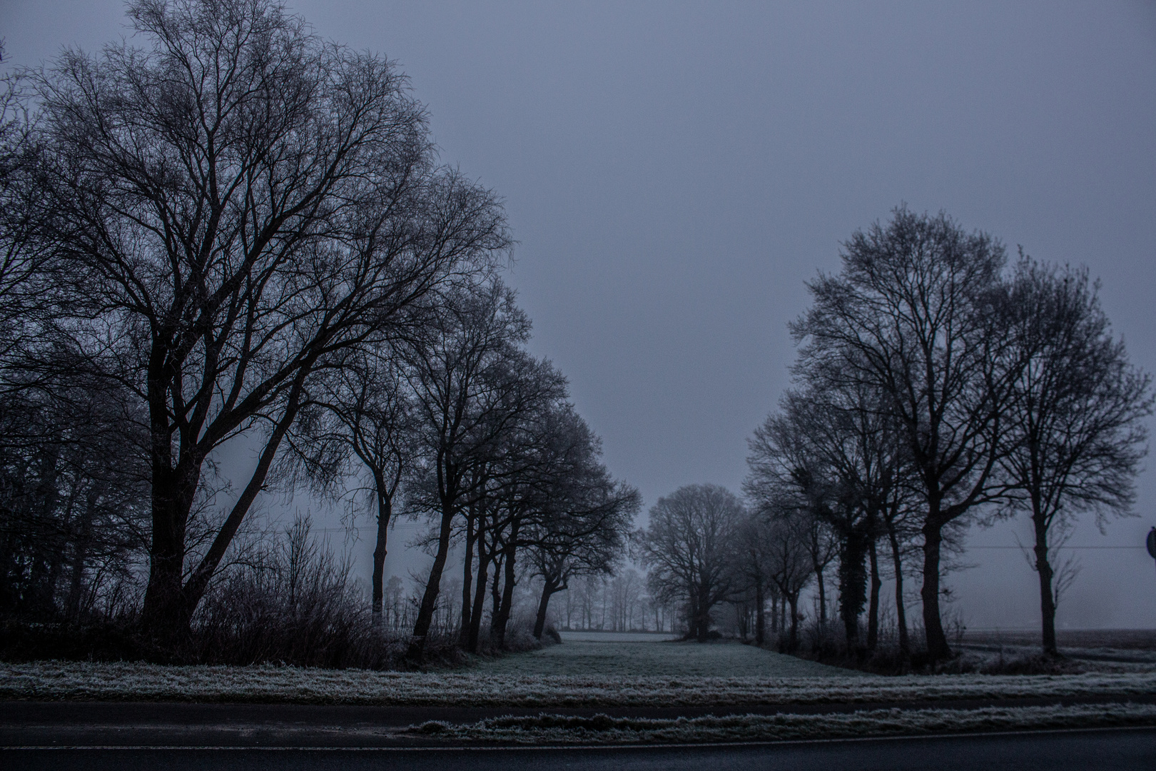 Cold Morning Foto & Bild | fotos, nature, world Bilder auf fotocommunity