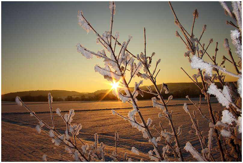 Cold Sunrise Foto & Bild | archiv, fotocommunity kalender , archiv 2009 ...