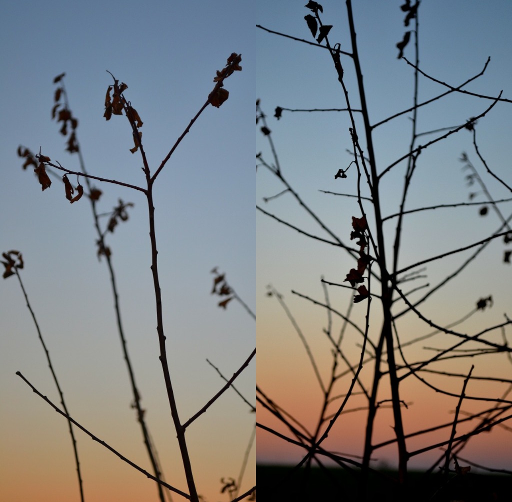 collage Foto & Bild | jahreszeiten, winter, natur Bilder auf fotocommunity