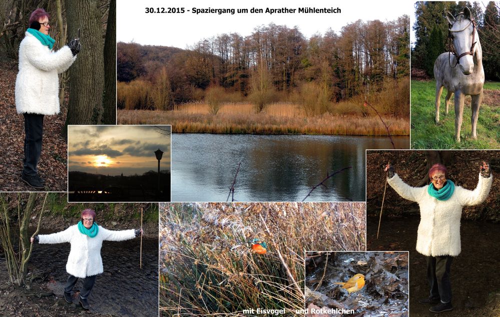 Collage für und über Heidemarie Foto & Bild | erwachsene menschen, alltagsereignisse, menschen ...