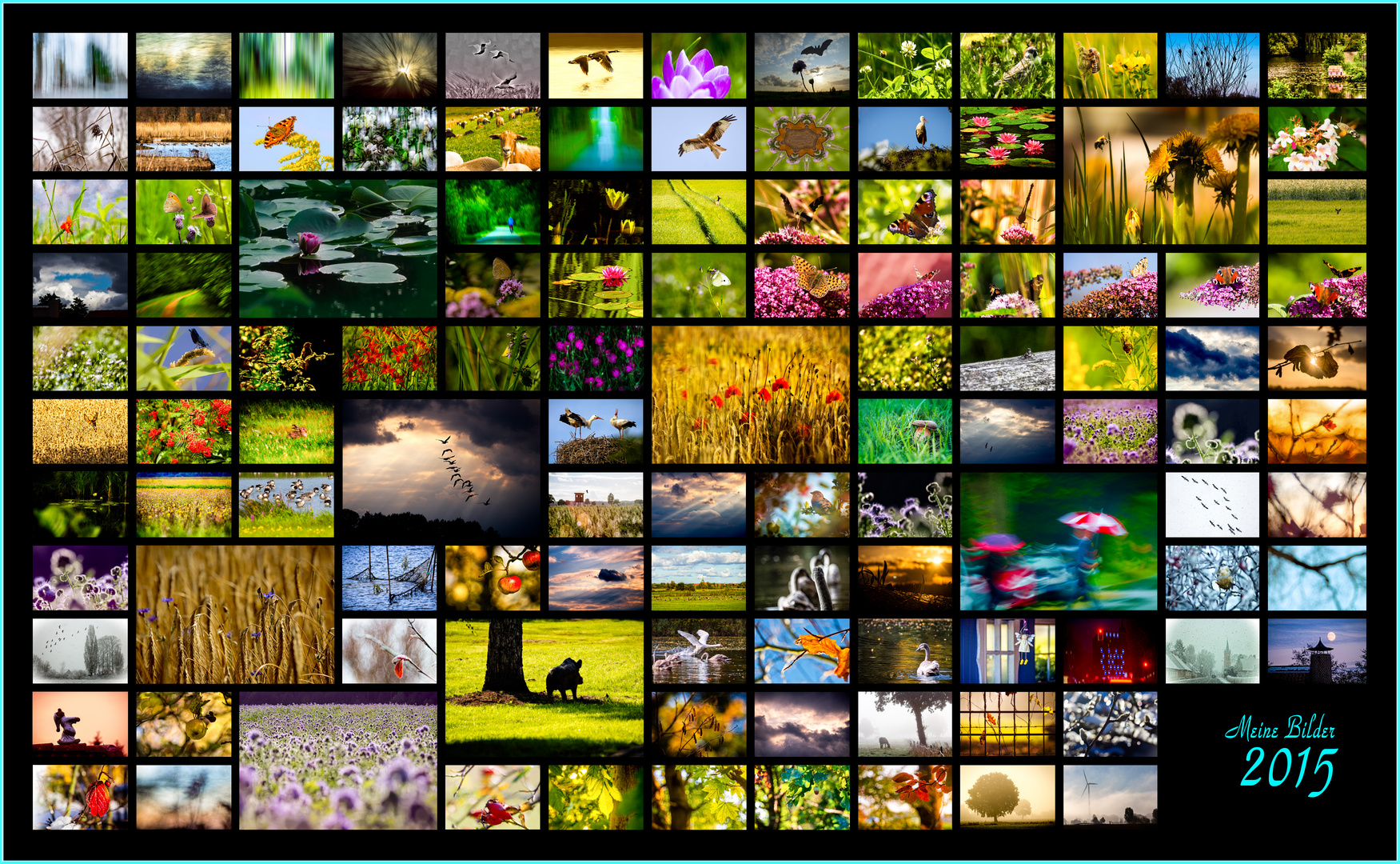Collage meiner Bilder 2015 Foto & Bild | fotokunst, collagen aus mind ...
