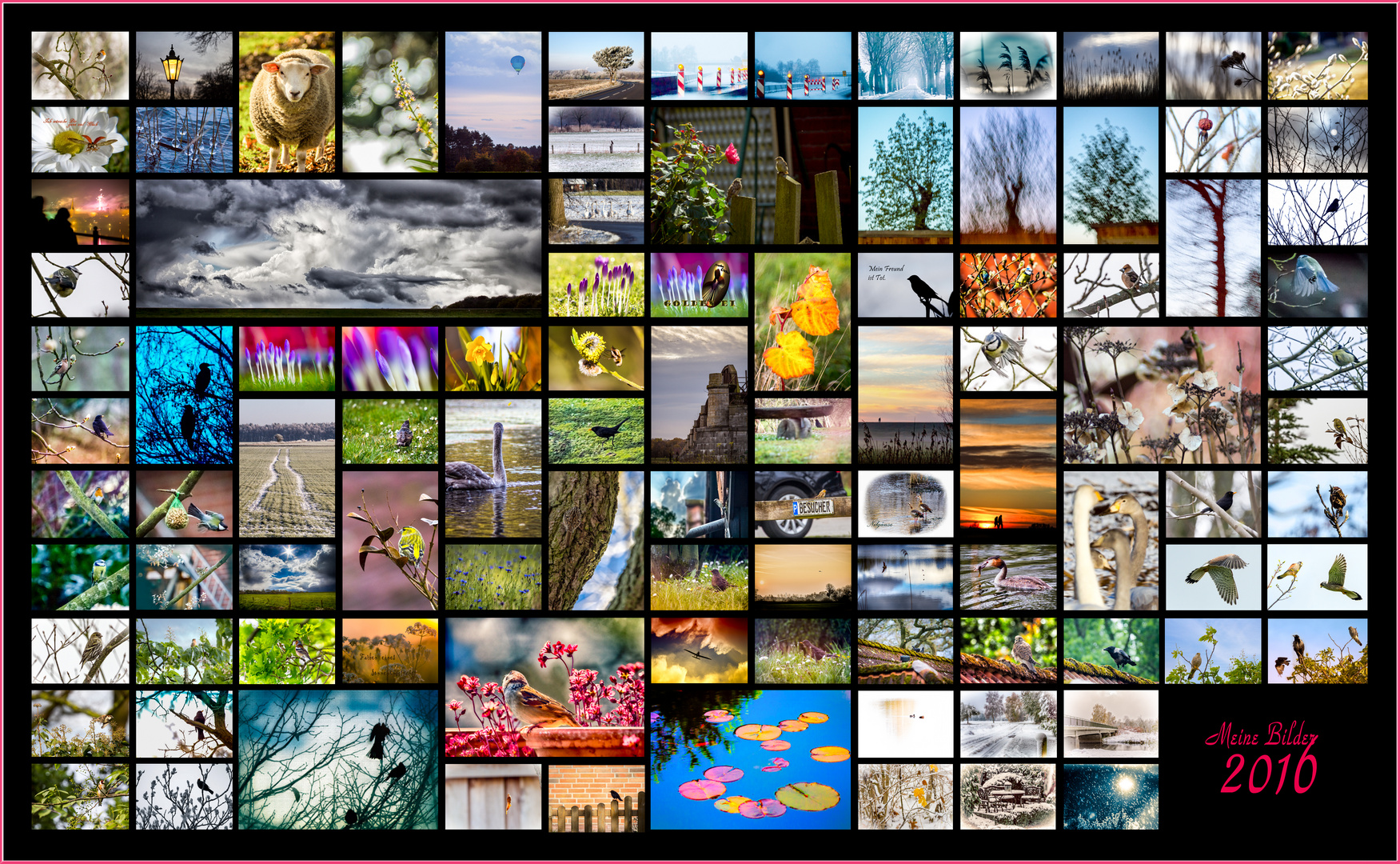 Collage meiner Bilder 2016 Foto & Bild | art, spezial, collage Bilder ...