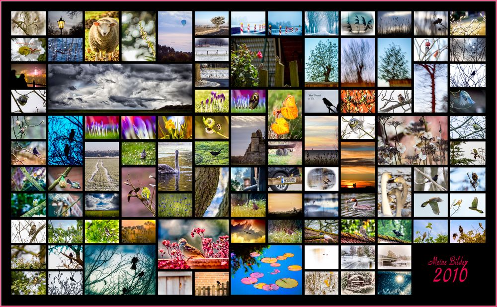 Collage meiner Bilder 2016 Foto & Bild | art, spezial, collage Bilder ...