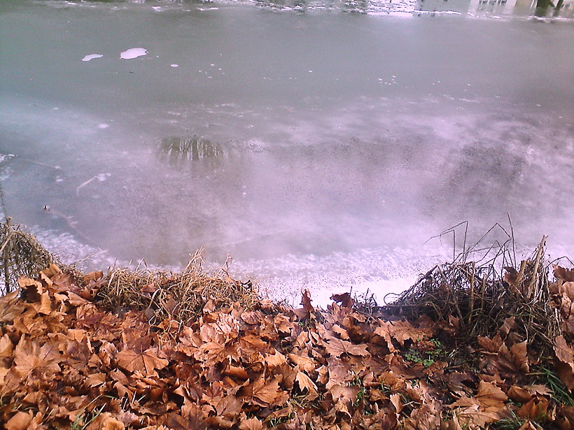 collection nature automne hiver photo et image | les saisons, nature ...