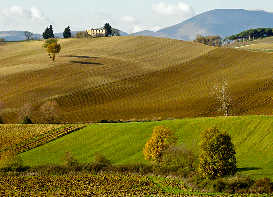 Colline a fine autunno Foto % Immagini| paesaggi, campagna, natura Foto ...