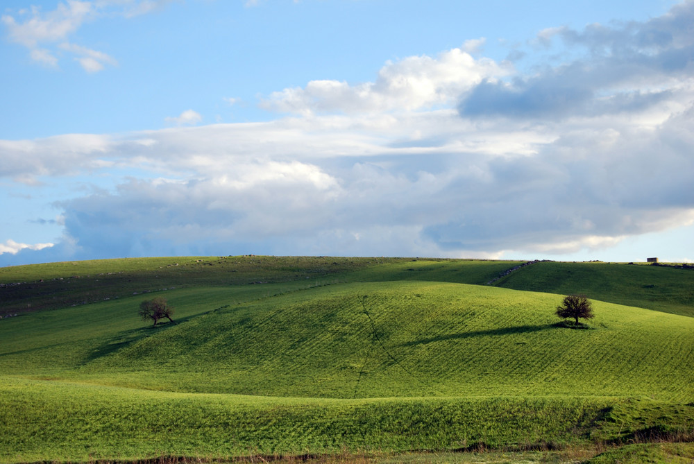 Colline siciliane Foto % Immagini| paesaggi, campagna, natura Foto su ...
