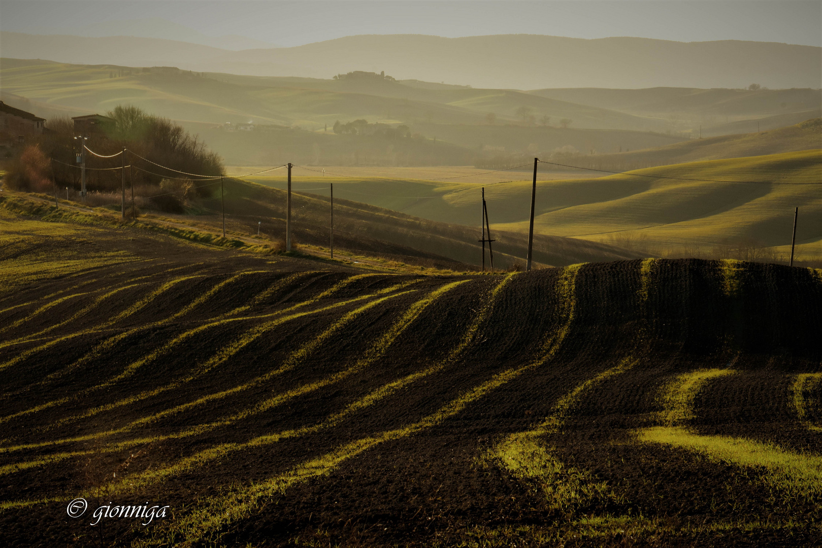Colline toscane Foto % Immagini| paesaggi, campagna, italy Foto su ...