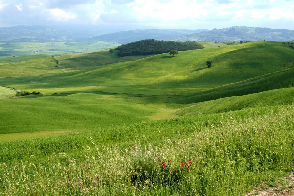 Collines de la Val d'Orcia photo et image | paysages, paysages de ...