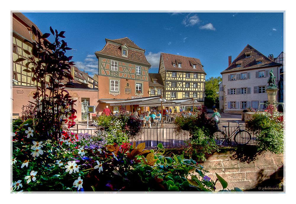 Colmar - Frankreich (1) Foto & Bild | europe, france, natur ...