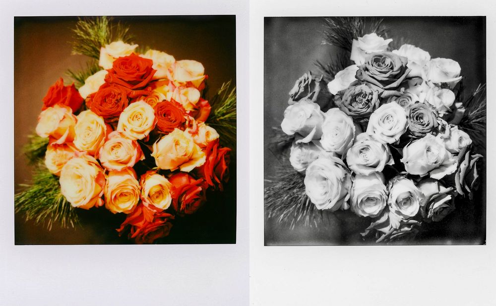 Color vs Black and White Foto & Bild | art, spezial, licht Bilder auf ...