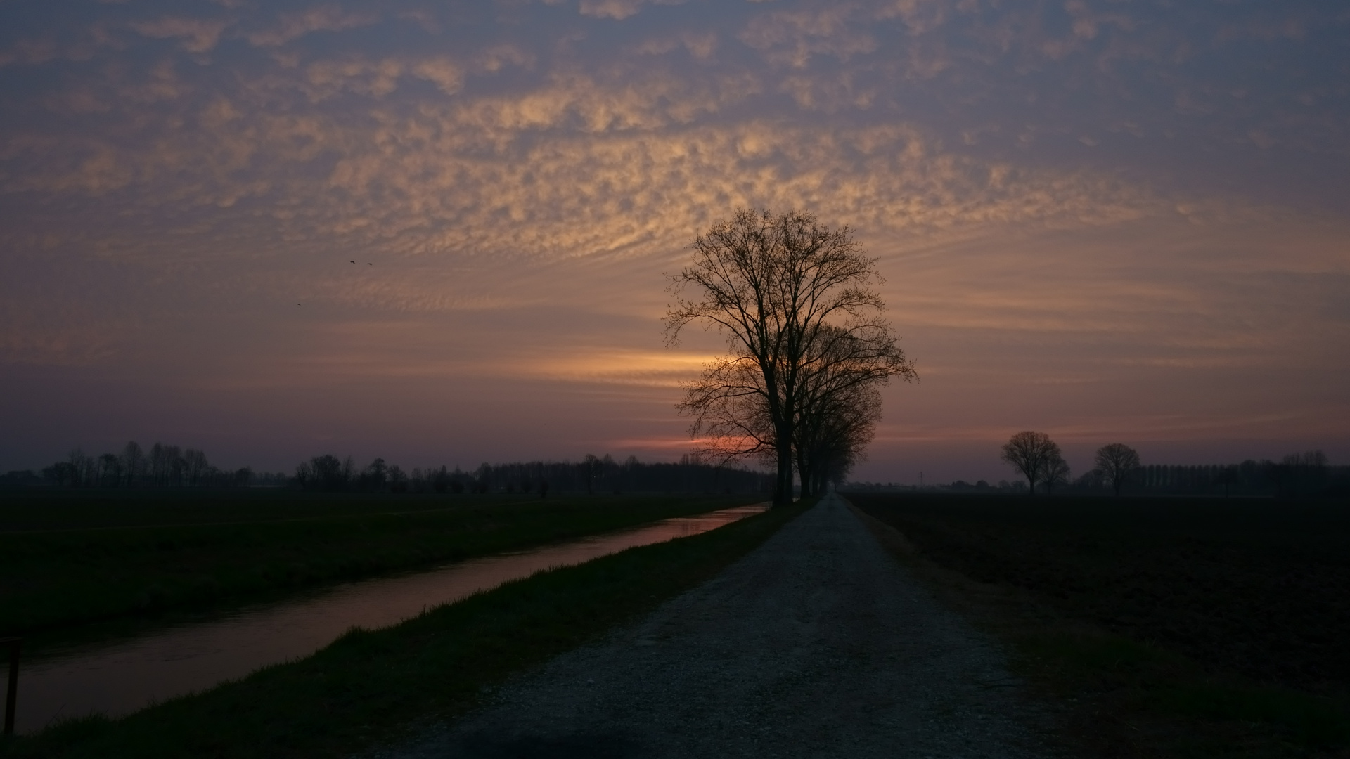 Colori dell'alba (1) Foto % Immagini| paesaggi, albe e tramonti, natura ...