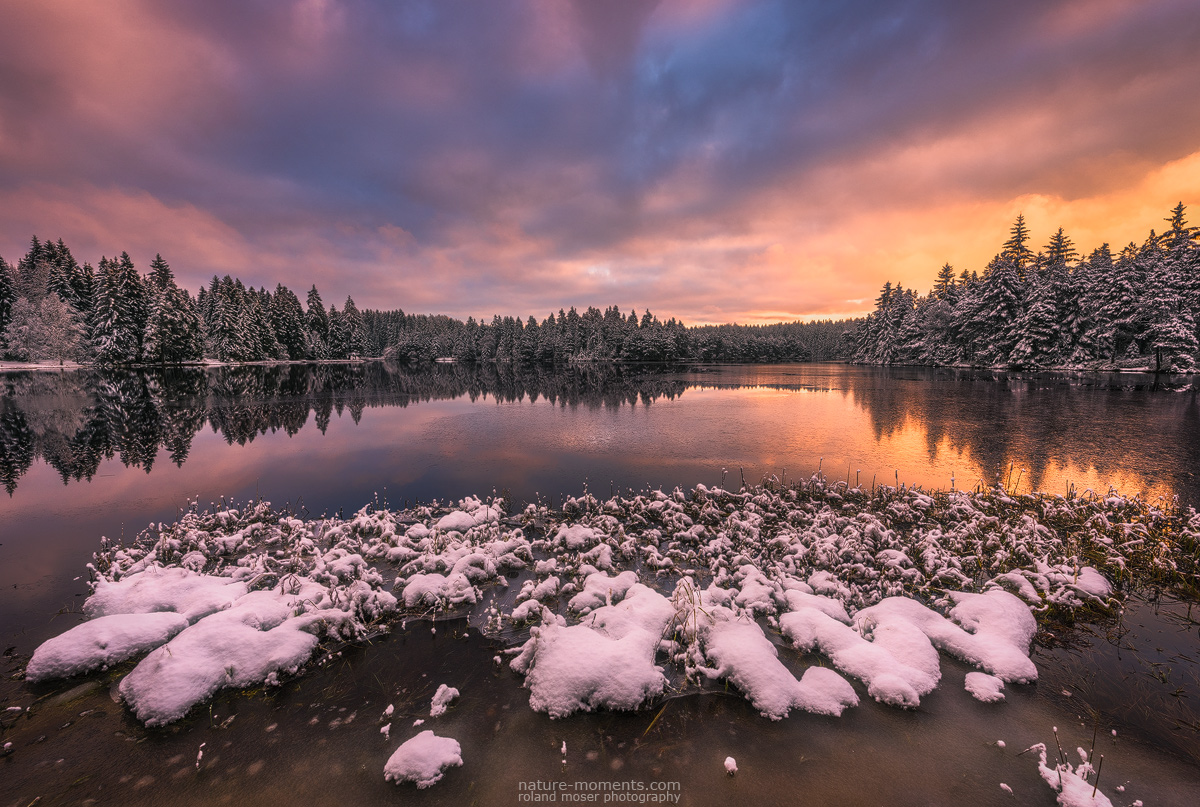 Colors of Dawn Foto & Bild | art, nature, natur Bilder auf fotocommunity