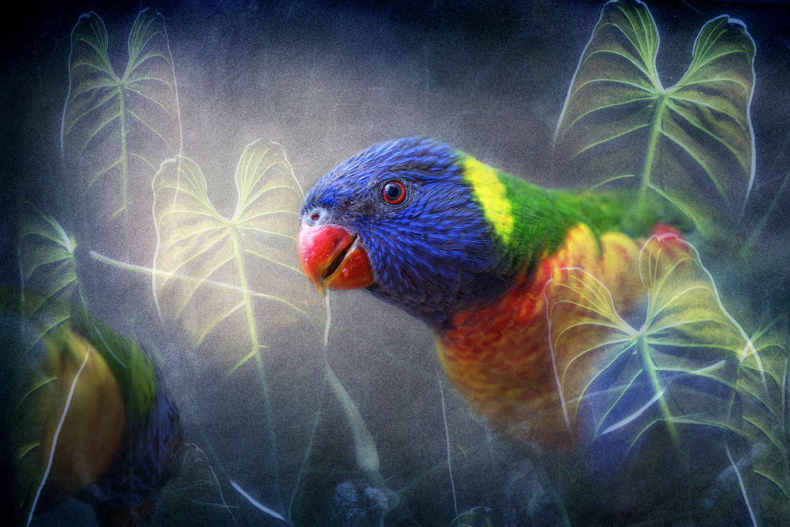 colors of nature Foto & Bild | fotokunst, bearbeitungs - techniken, filtertechniken Bilder auf ...