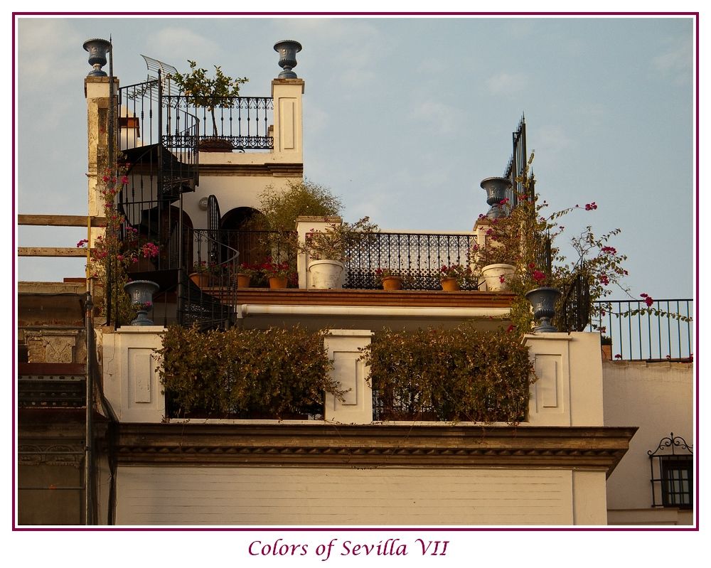 Colors of Sevilla VII Foto & Bild | europe, spain, andalusien Bilder ...