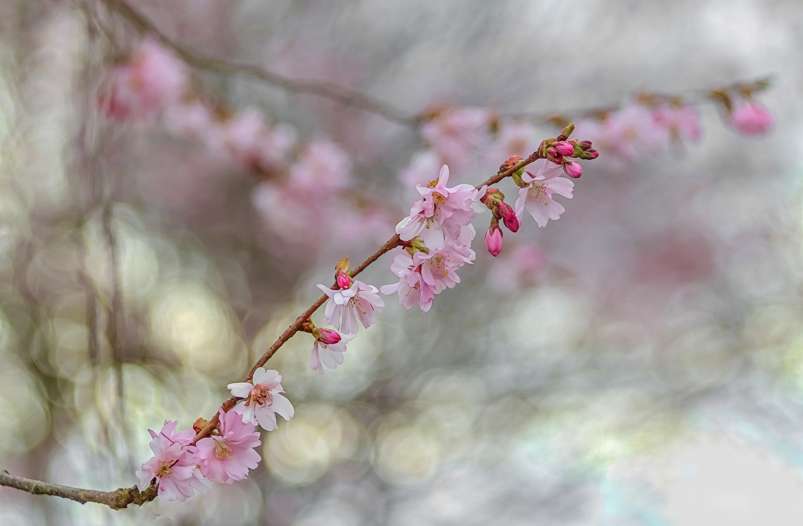 Colors of Spring Foto & Bild | art, spezial, dokumentation Bilder auf ...