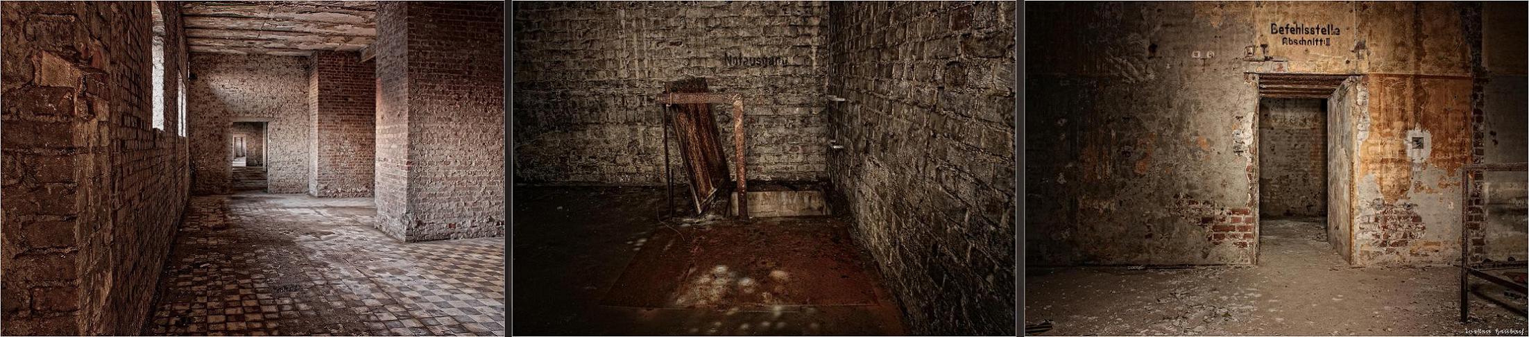 Colosseum - Colossal Foto & Bild | architektur, lost places, motive ...