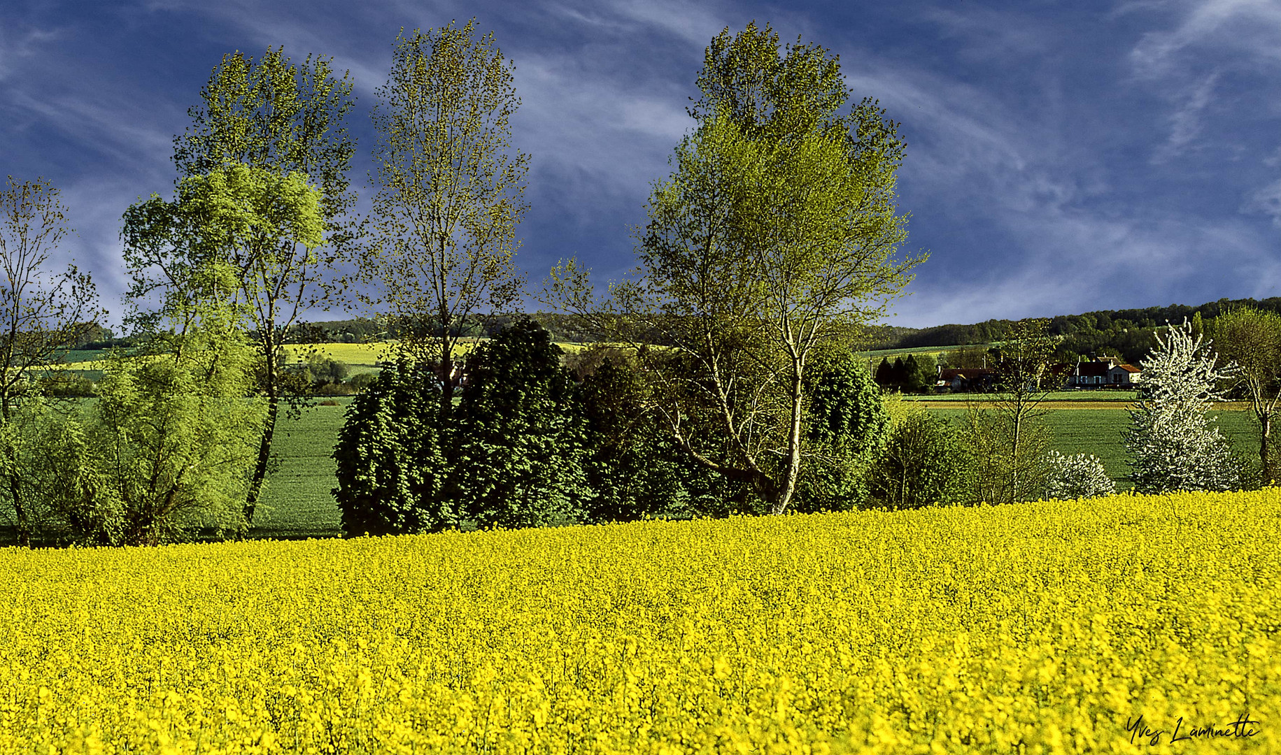 Colzas photo et image | animations photographiques, un jour - une ...