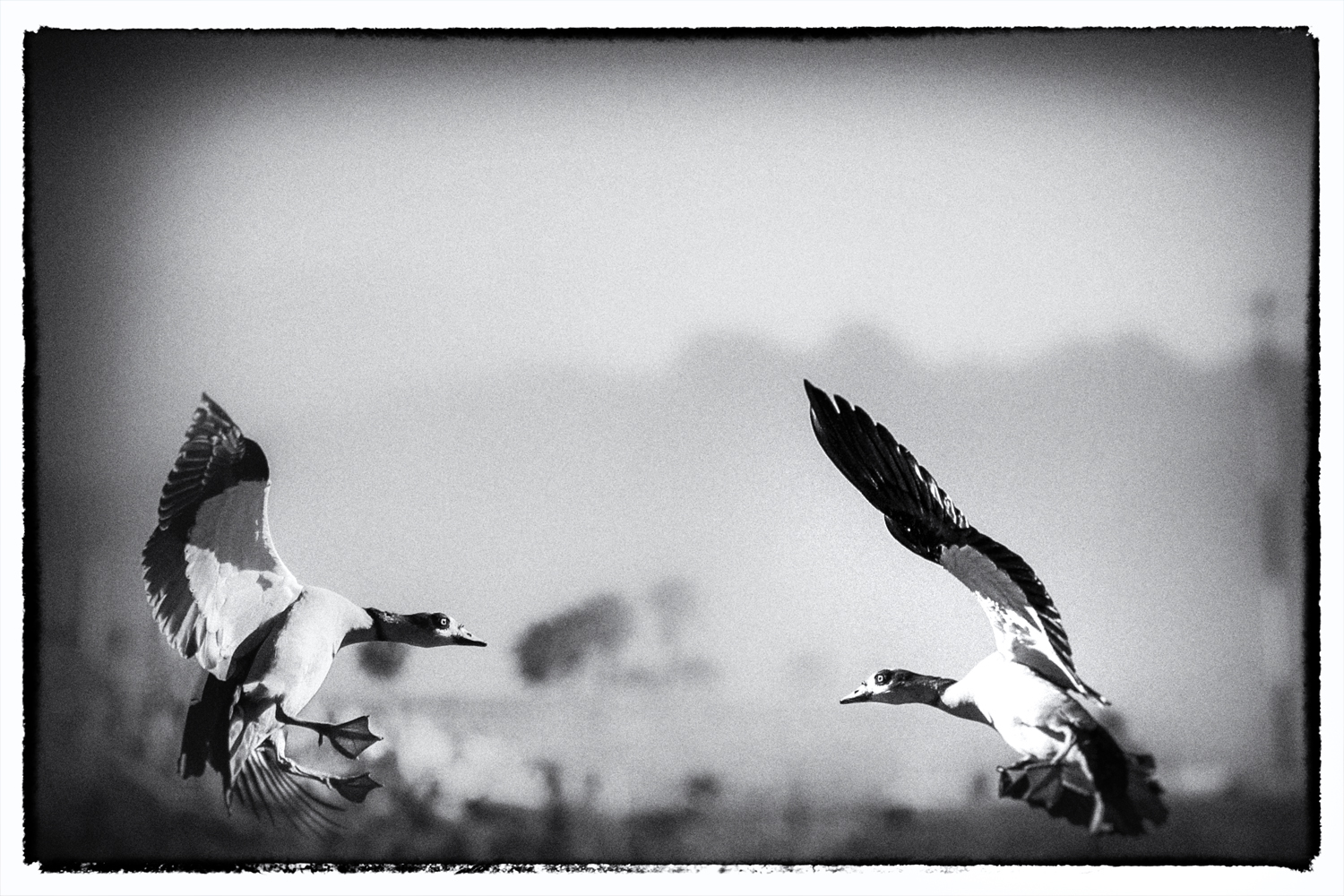 Come on! Foto & Bild | fotokunst Bilder auf fotocommunity