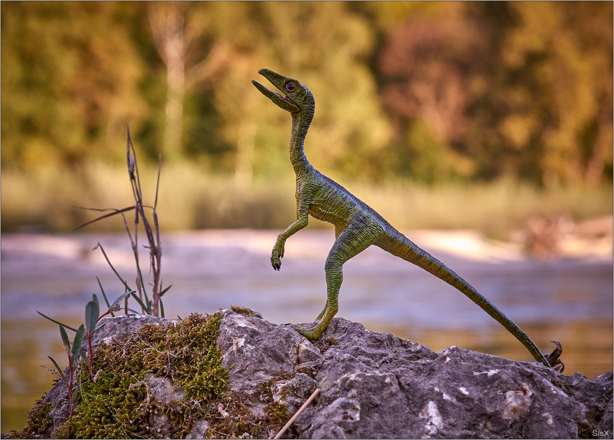 Compi Foto & Bild | natur, spielzeug, landschaft Bilder auf fotocommunity