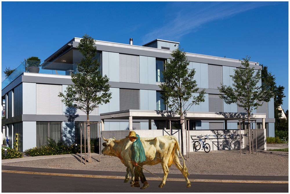 Composing-Rätsel 16/60 Foto & Bild | quatsch, fun und rätselecke ...